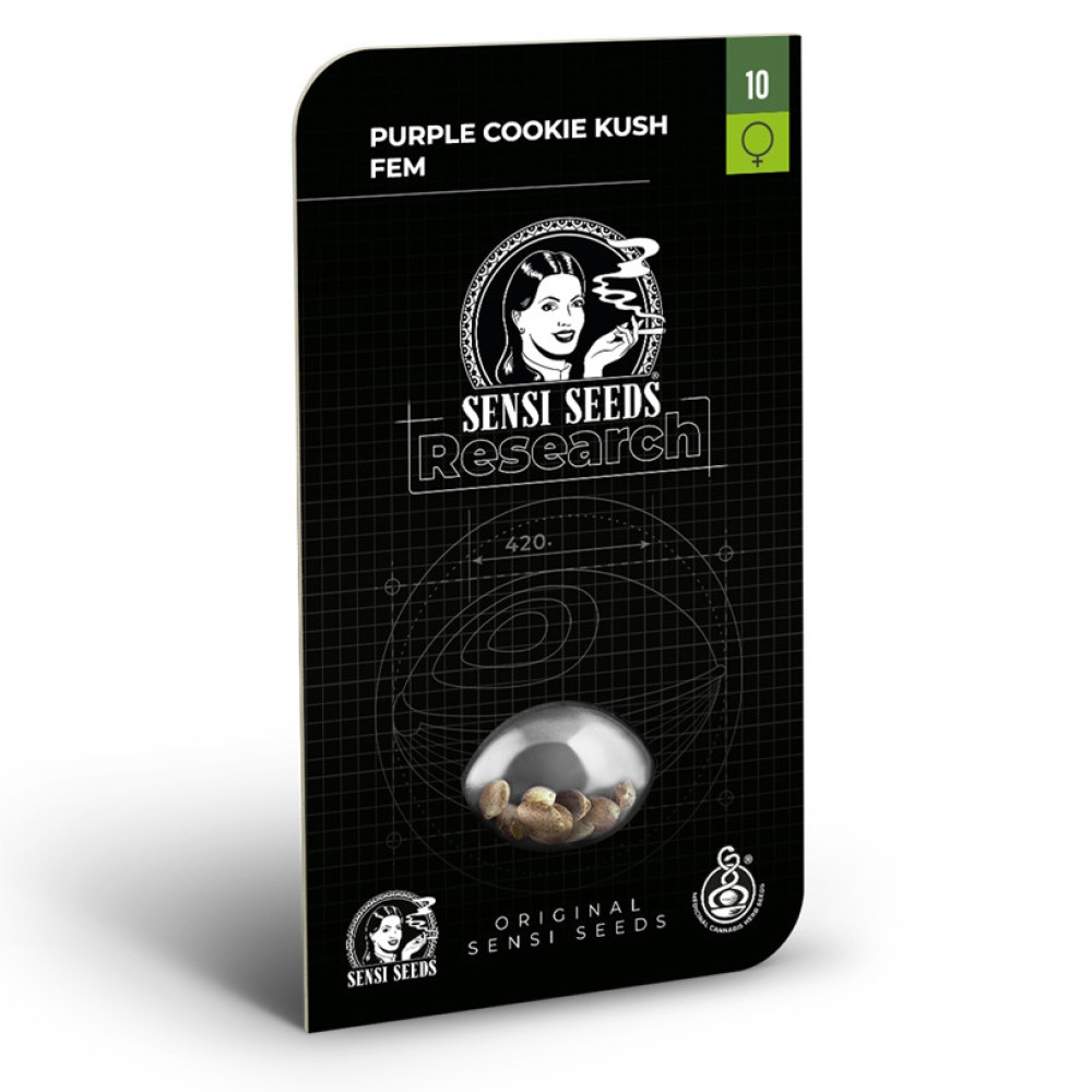 Purple Cookie Kush Feminisiert | Hanfsamen diskret bestellen
